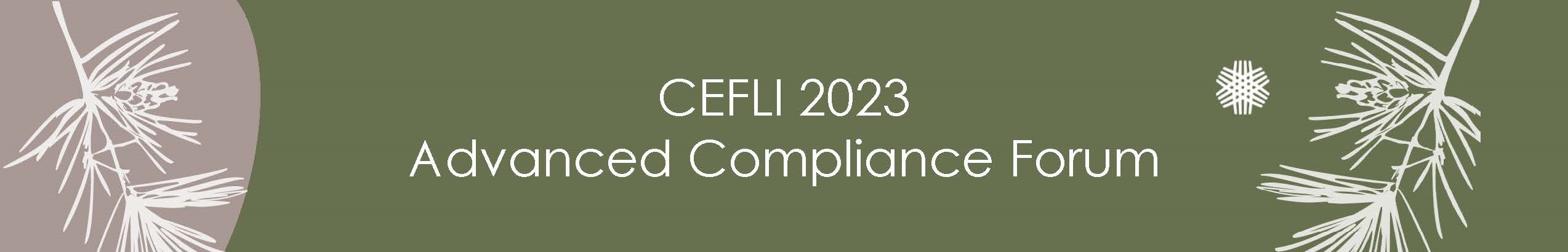 name badge 4 acf – CEFLI